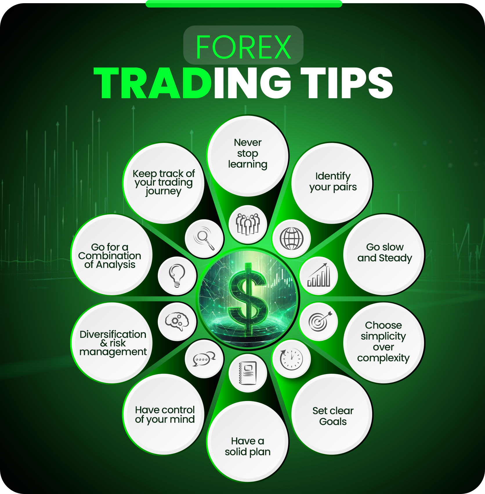 10 Winning Tips for Currency trading for Beginners